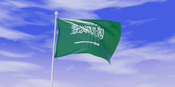 What is the Personal Data Protection Law (PDPL)? | DPAS