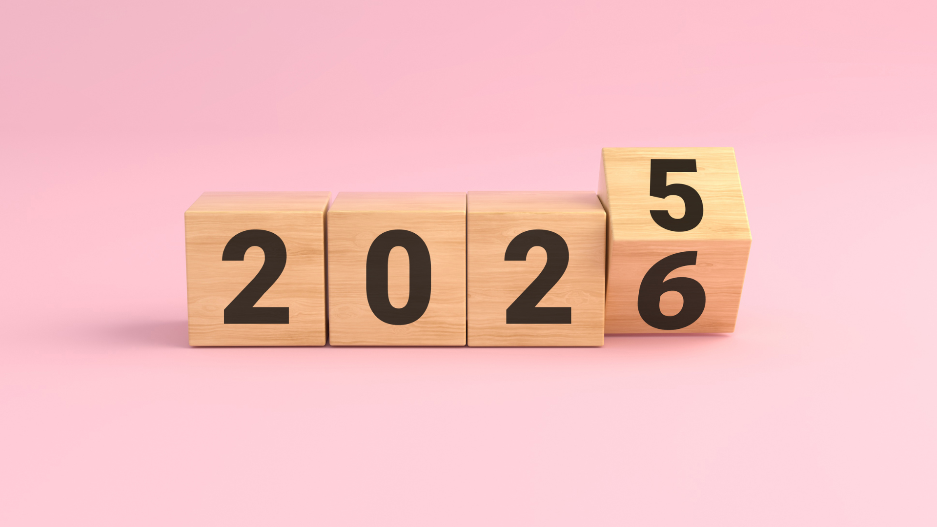 An end of year message from the DPAS team... | DPAS | News